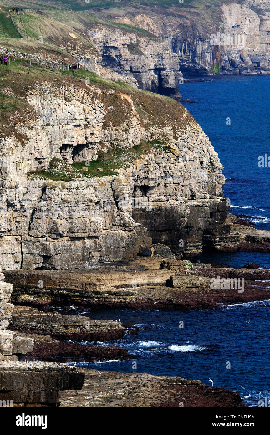 Seacombe cliff hi-res stock photography and images - Alamy