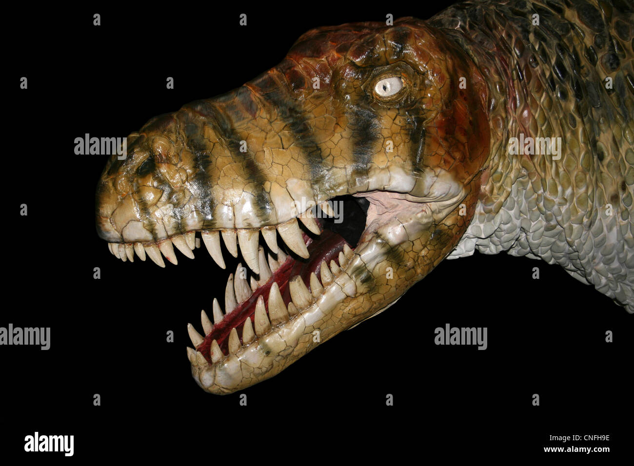 Scary t rex hi-res stock photography and images - Alamy