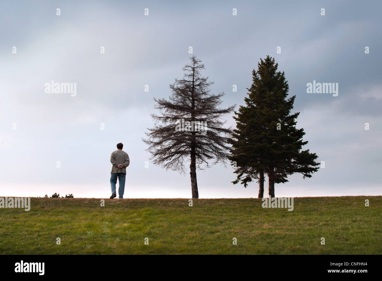 Man standing by two trees Stock Photo - Alamy