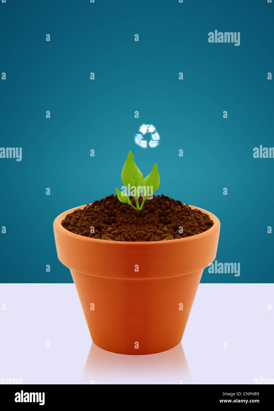 Small plant with recycle sign in garden pot, Ecological awareness ...