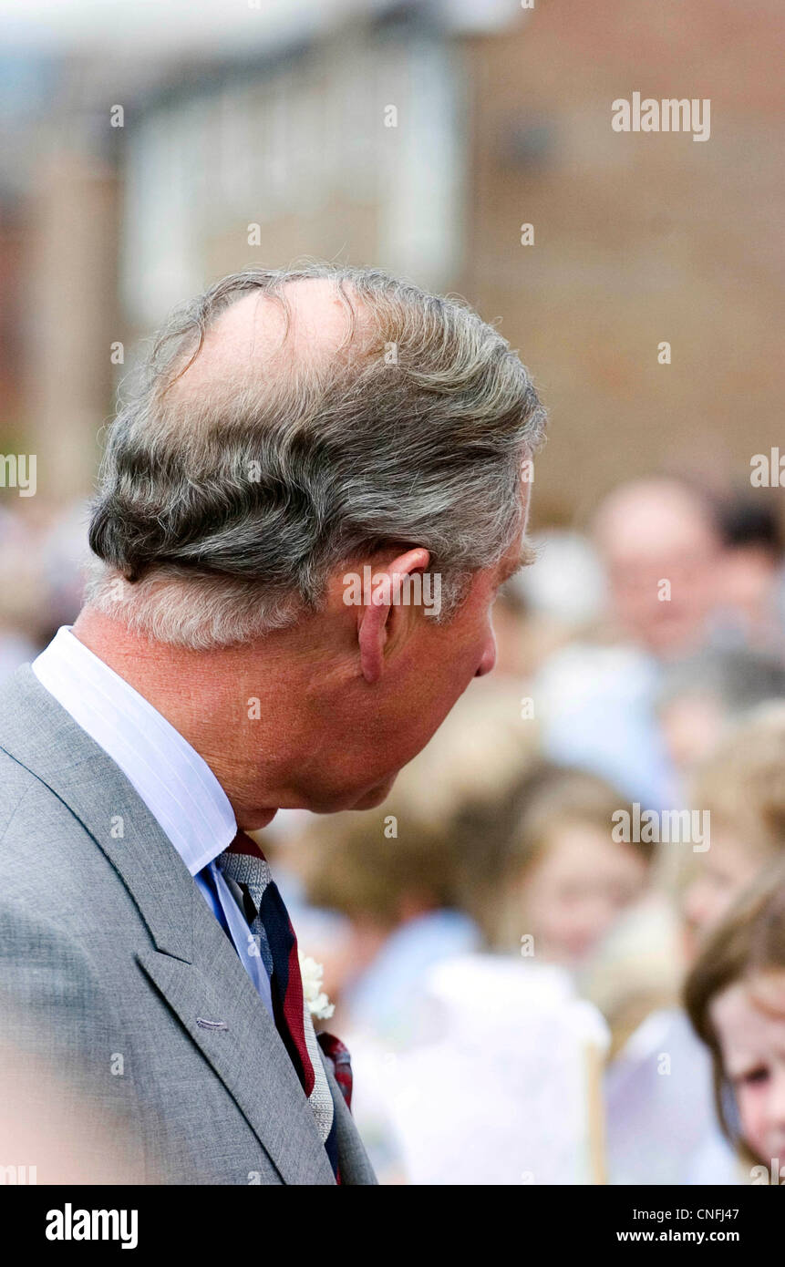 Bald spot charles hi-res stock photography and images - Alamy