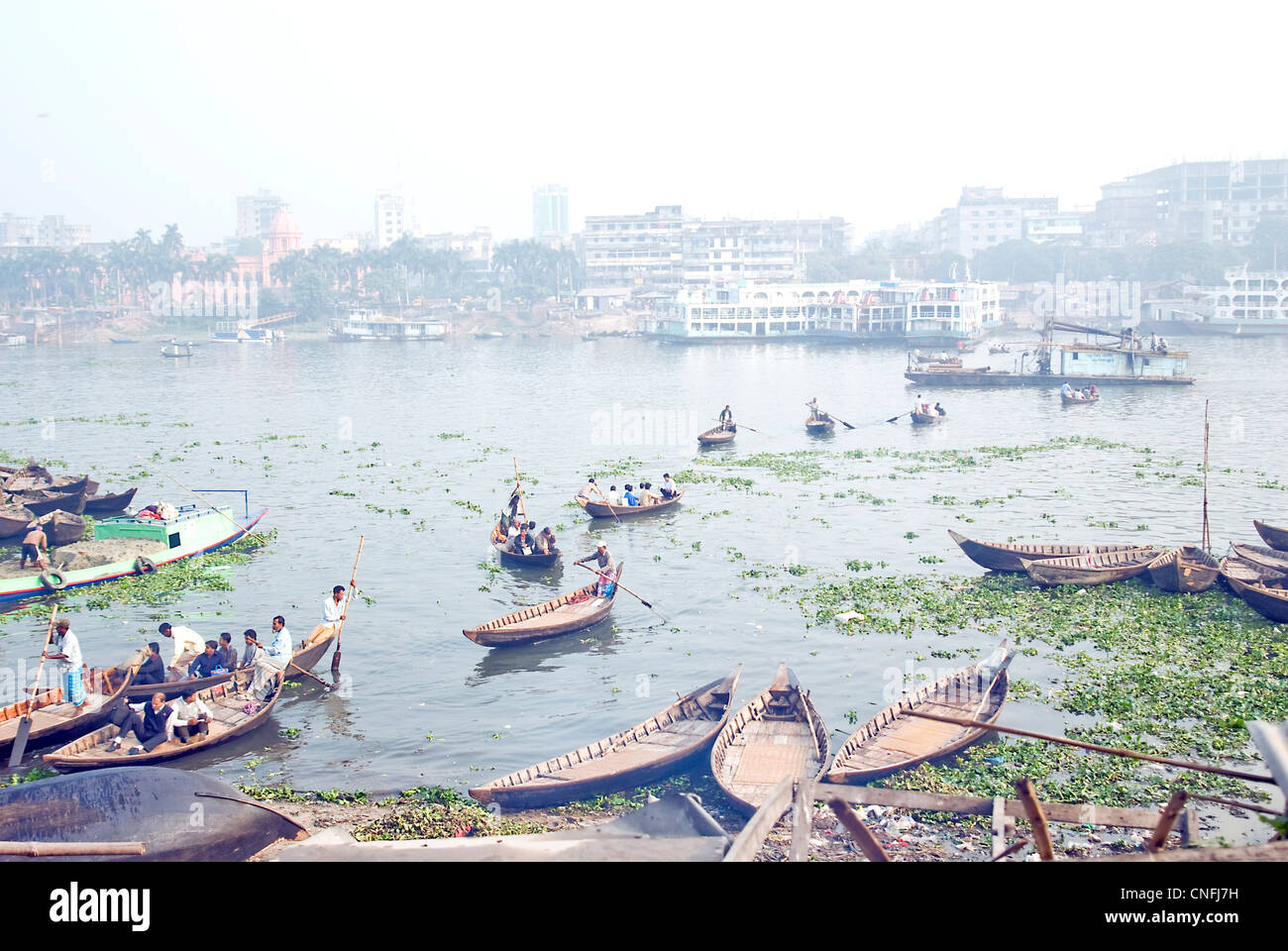 Buri hi-res stock photography and images - Alamy