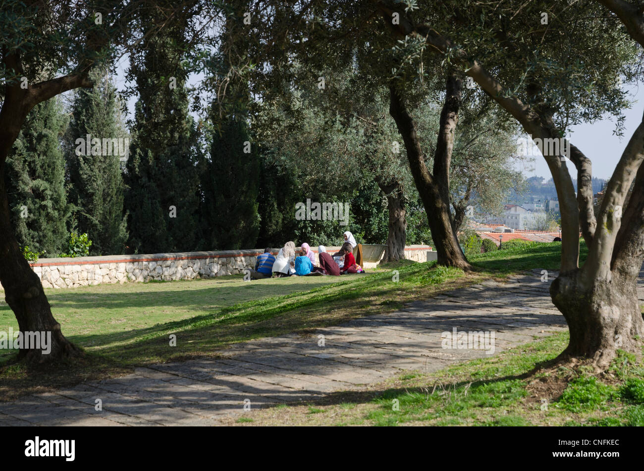 Palestinian family seen from afar in a public garden wih olive trees ...