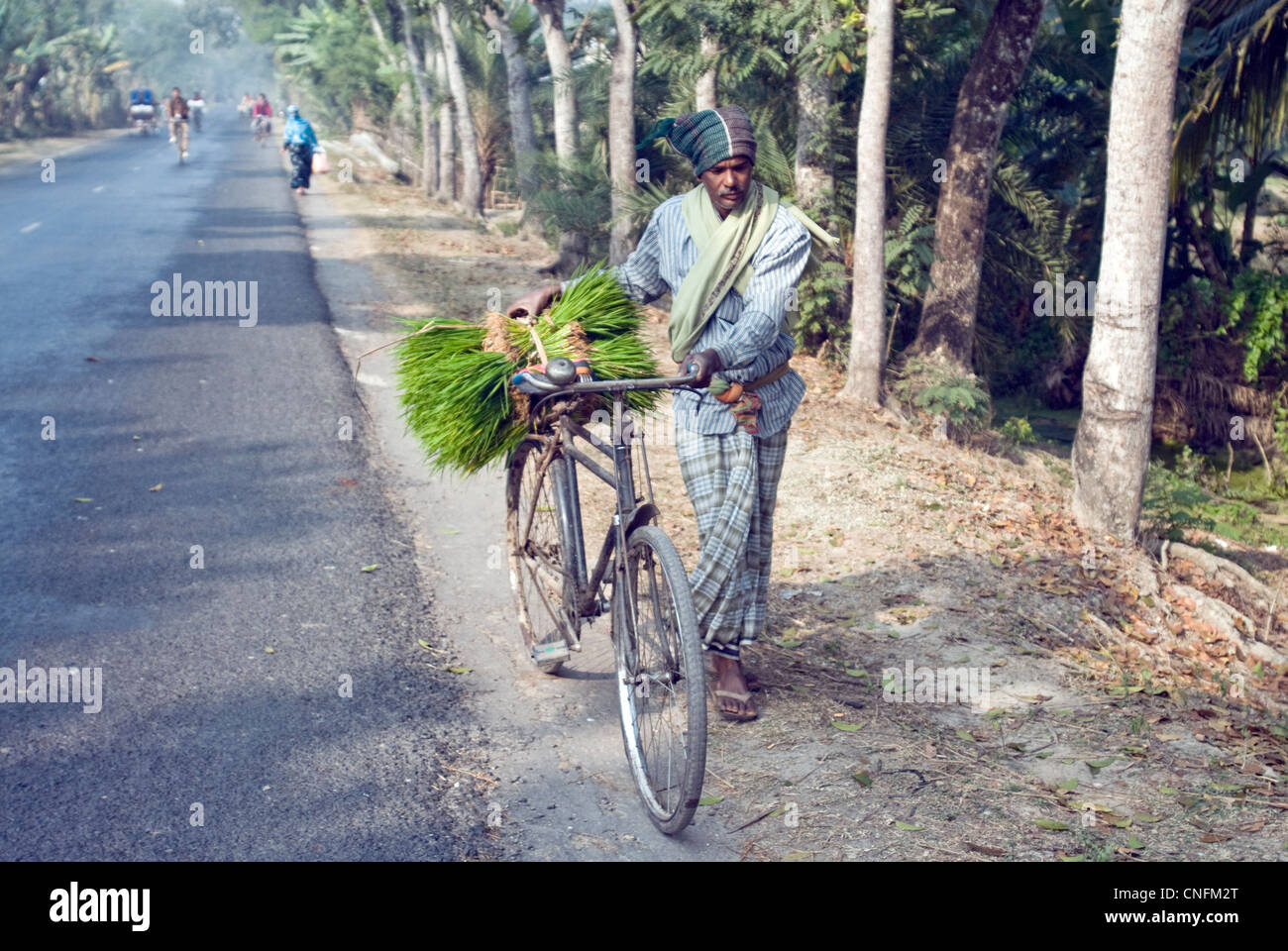 Bangladesh countryside hi-res stock photography and images - Alamy