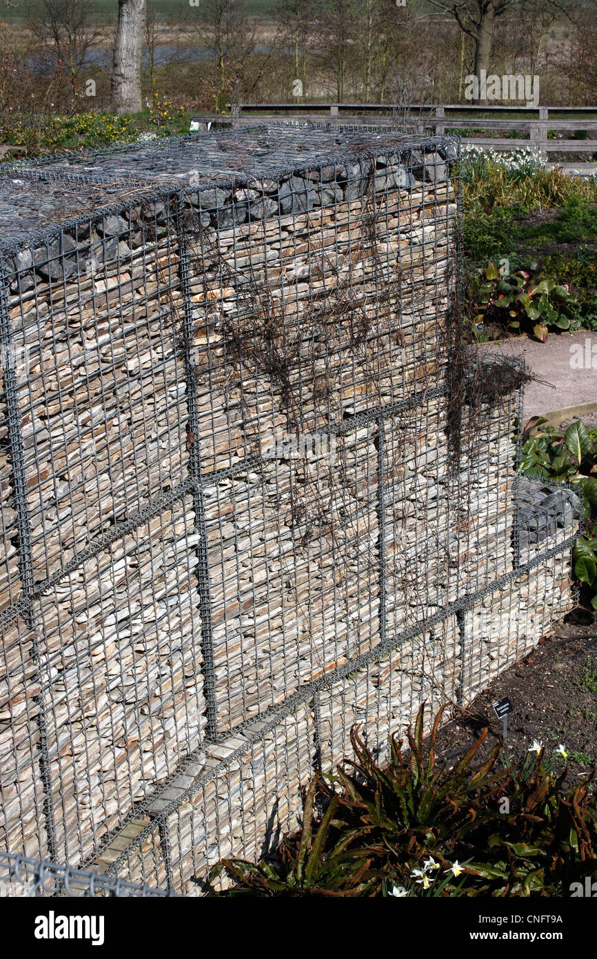 THE GABION WALL AT RHS HYDE HALL Stock Photo - Alamy