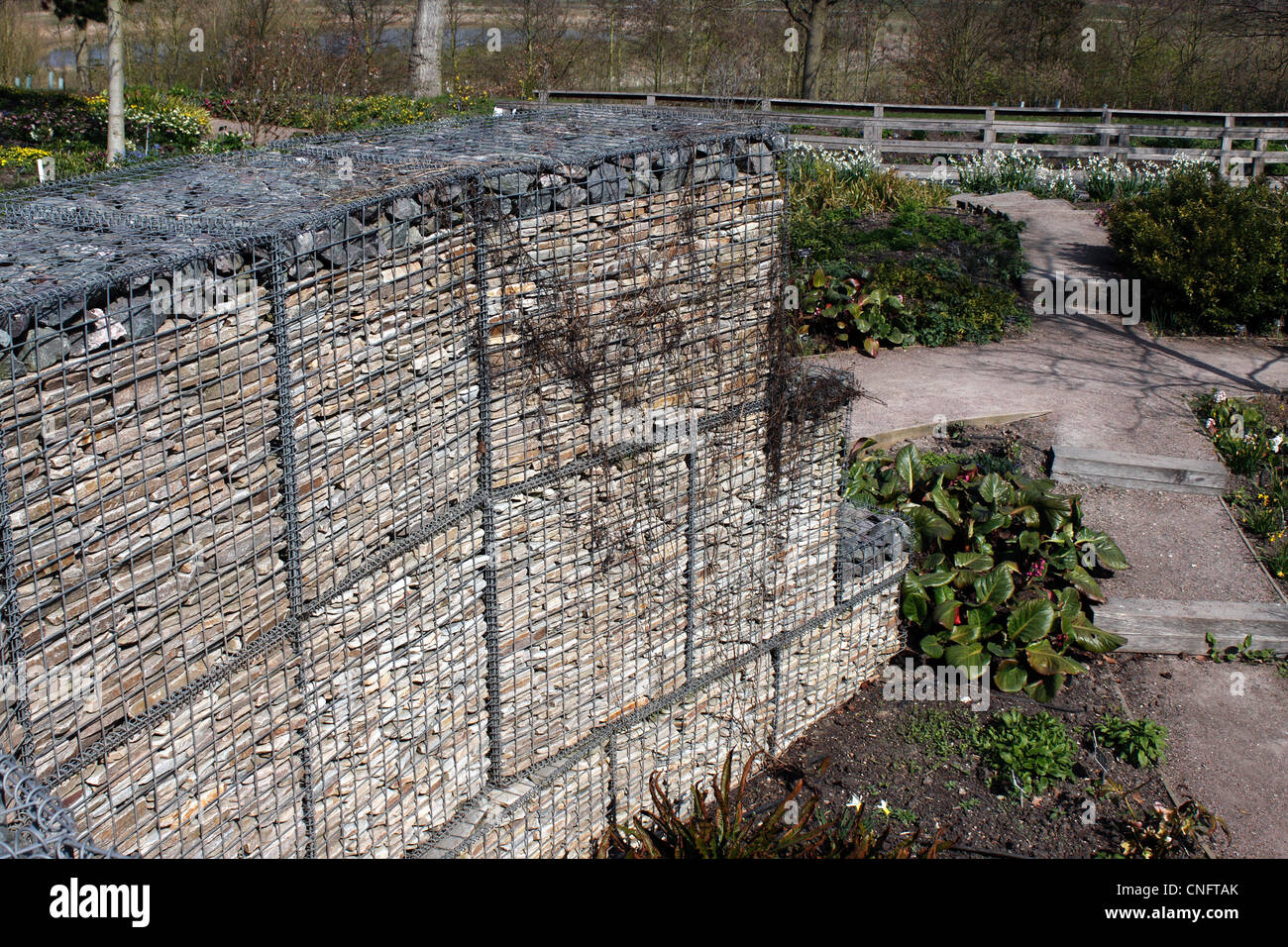 THE GABION WALL AT RHS HYDE HALL Stock Photo - Alamy