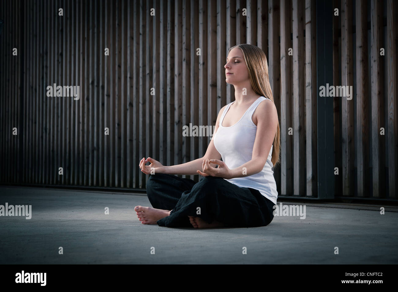 Modern yoga hi-res stock photography and images - Alamy