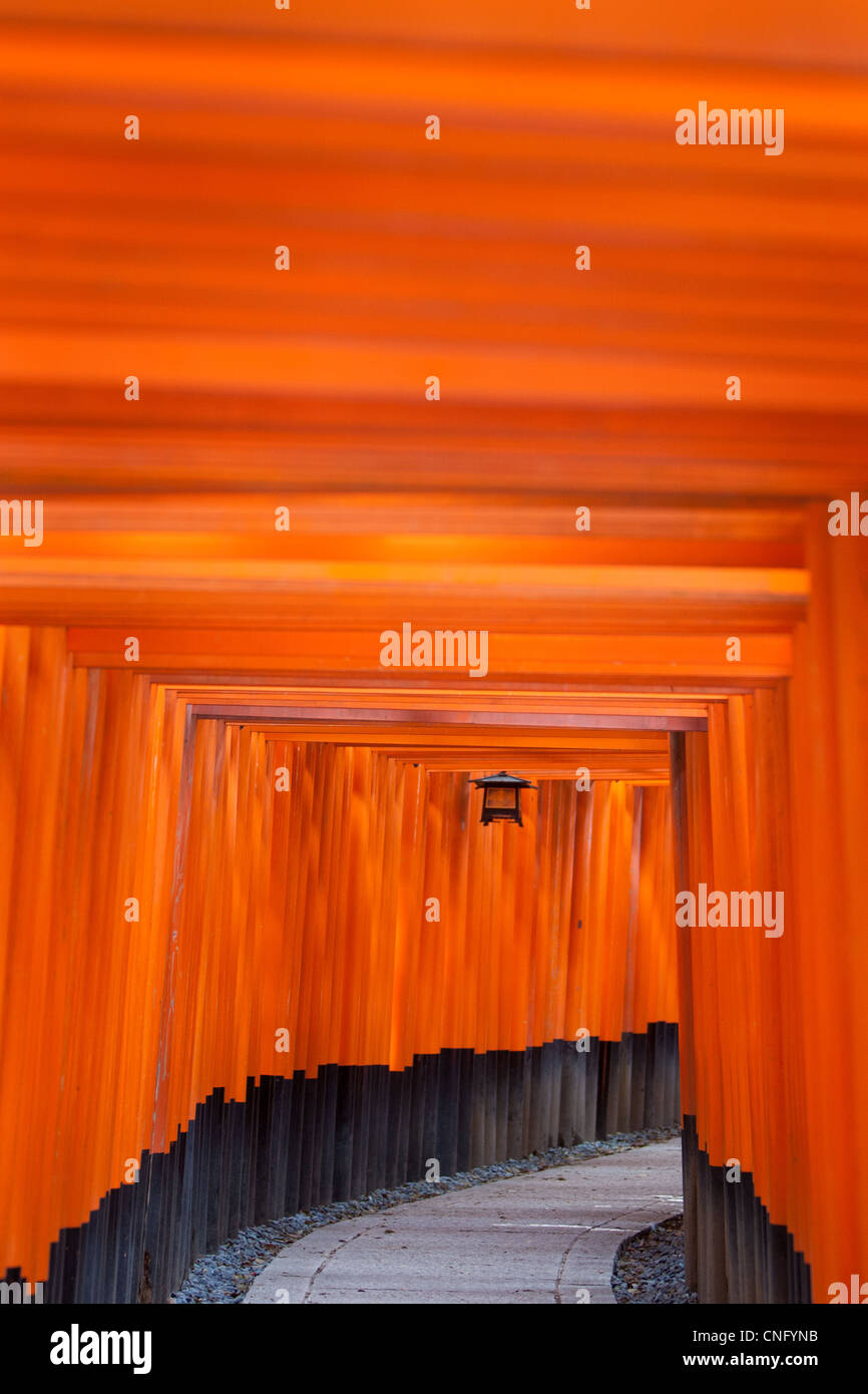 The tunnel and path of red torii gates leading to the Inner Shrine at ...