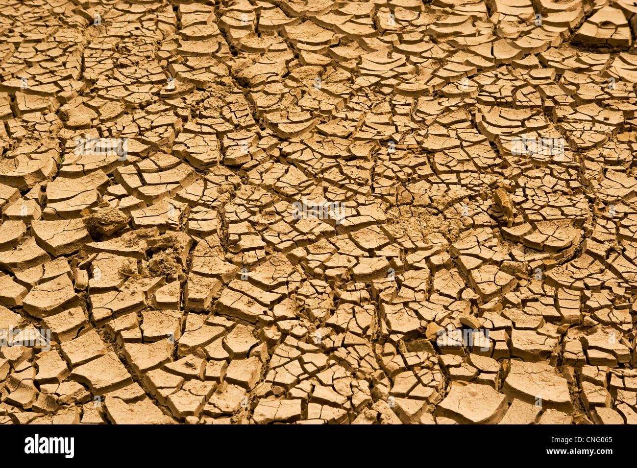 Cracked riverbed hi-res stock photography and images - Alamy