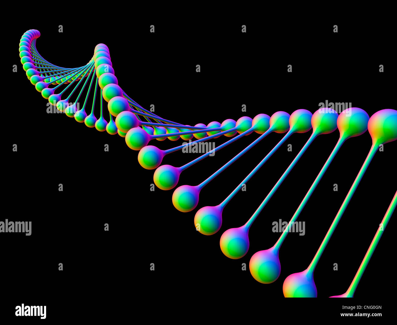 DNA molecule computer artwork Stock Photo - Alamy