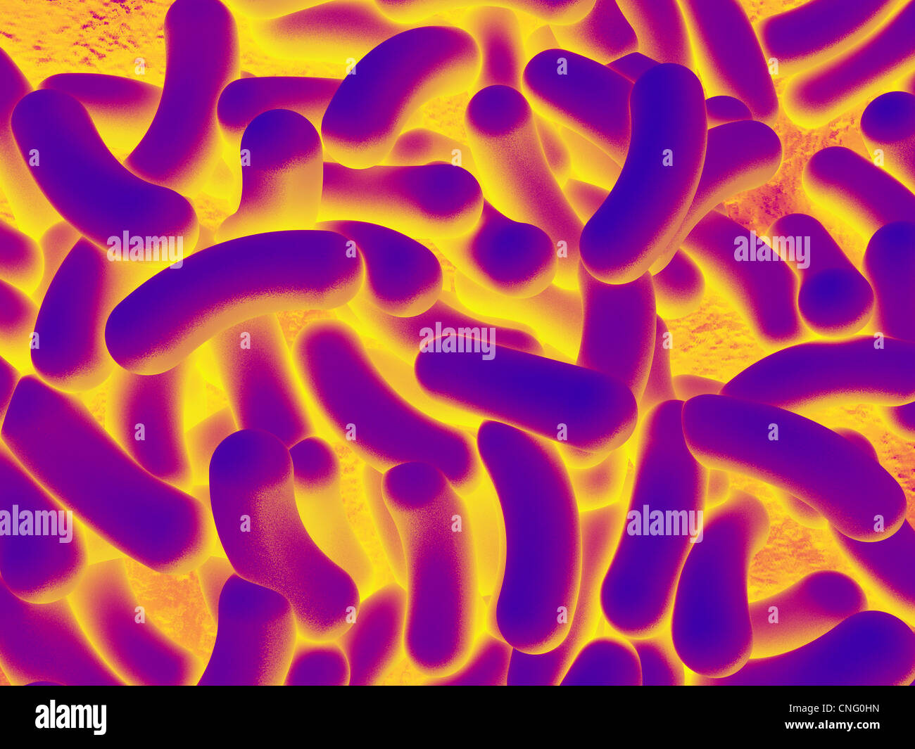 Bacteria artwork Stock Photo - Alamy
