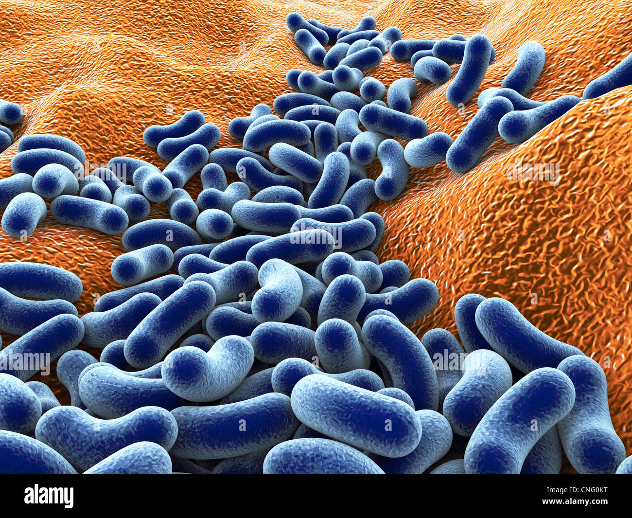Bacteria artwork Stock Photo - Alamy