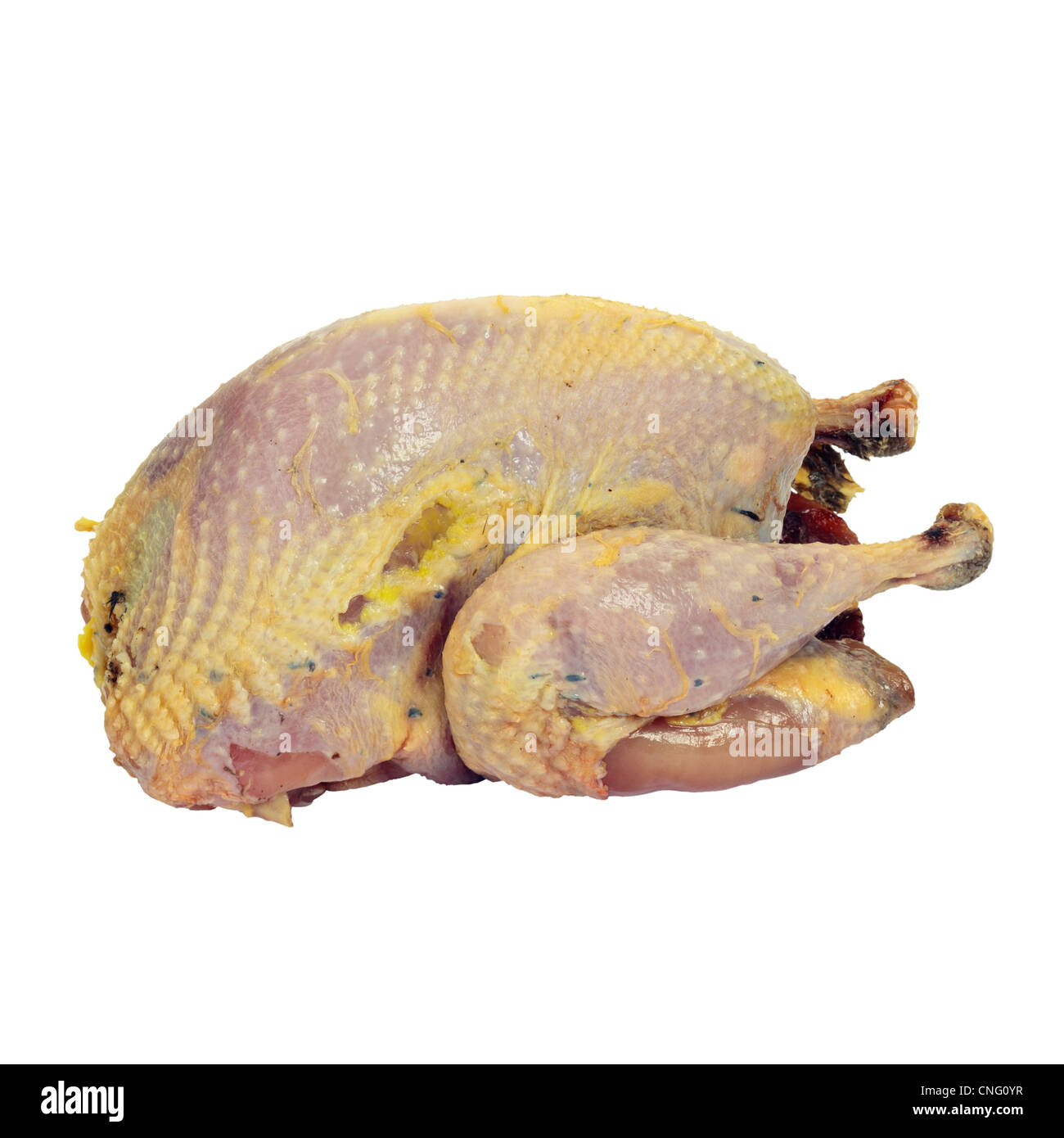 Pheasant Meat High Resolution Stock Photography and Images - Alamy