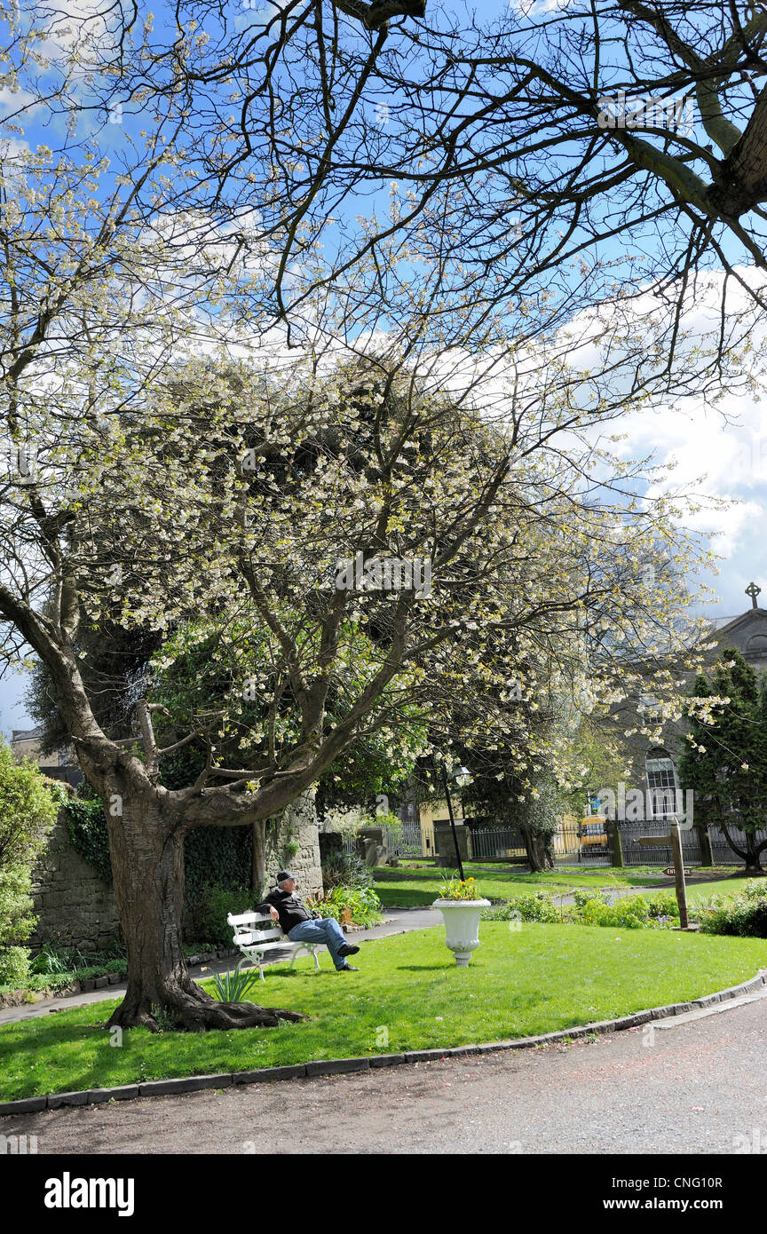 St Mary's Cathedral, Limerick City, Limerick, Ireland Stock Photo - Alamy