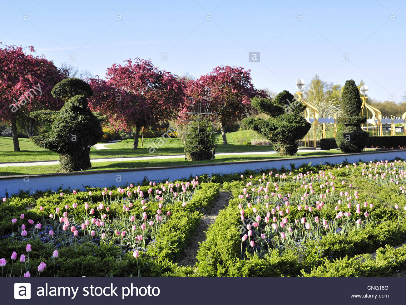 Trimmed Garden Shrubs High Resolution Stock Photography and Images - Alamy