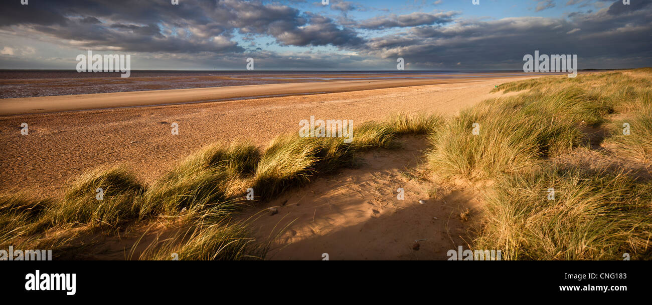 The setting October sun casts a warm glow over the beach and sand dunes ...