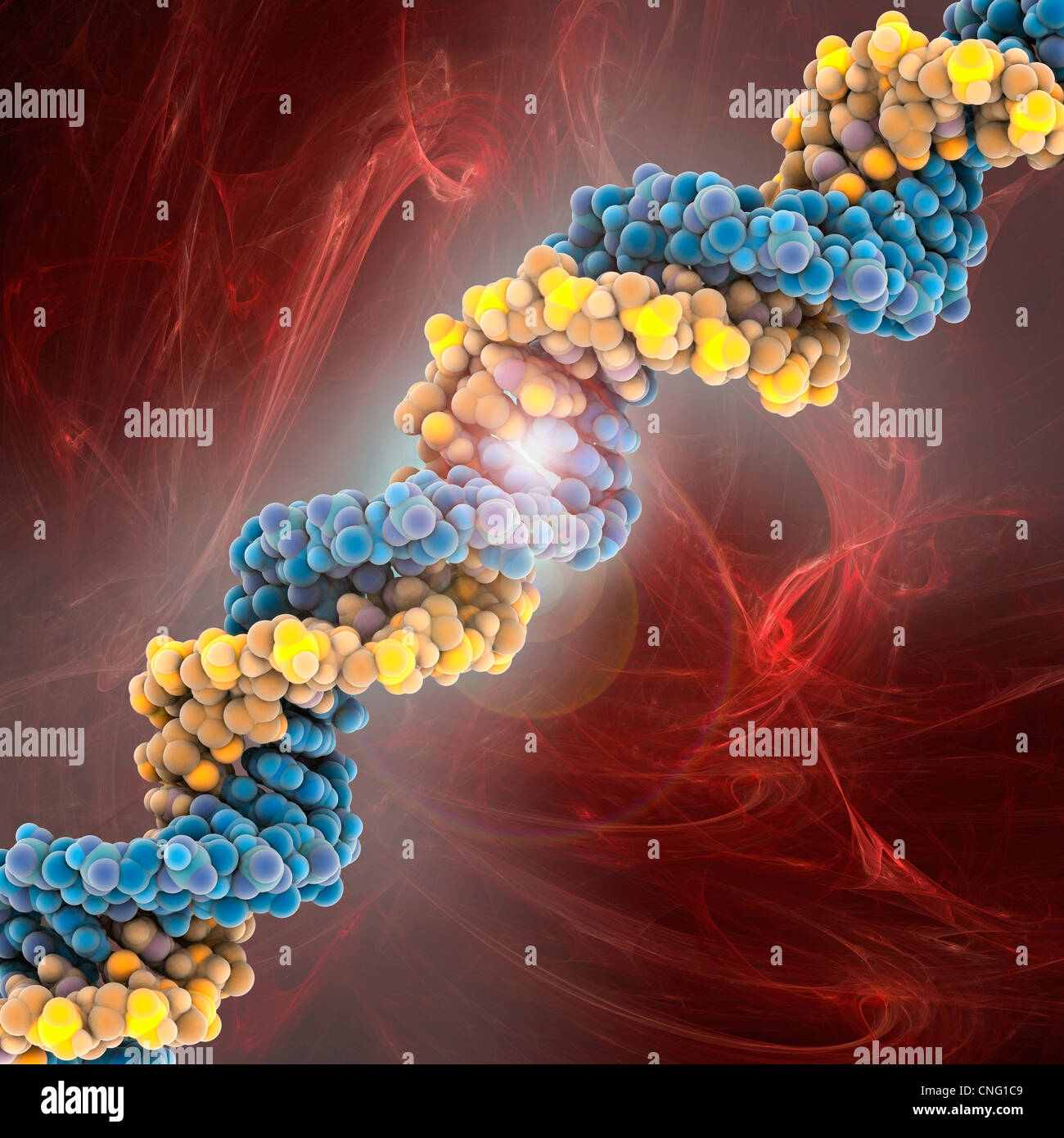 DNA molecule artwork Stock Photo - Alamy