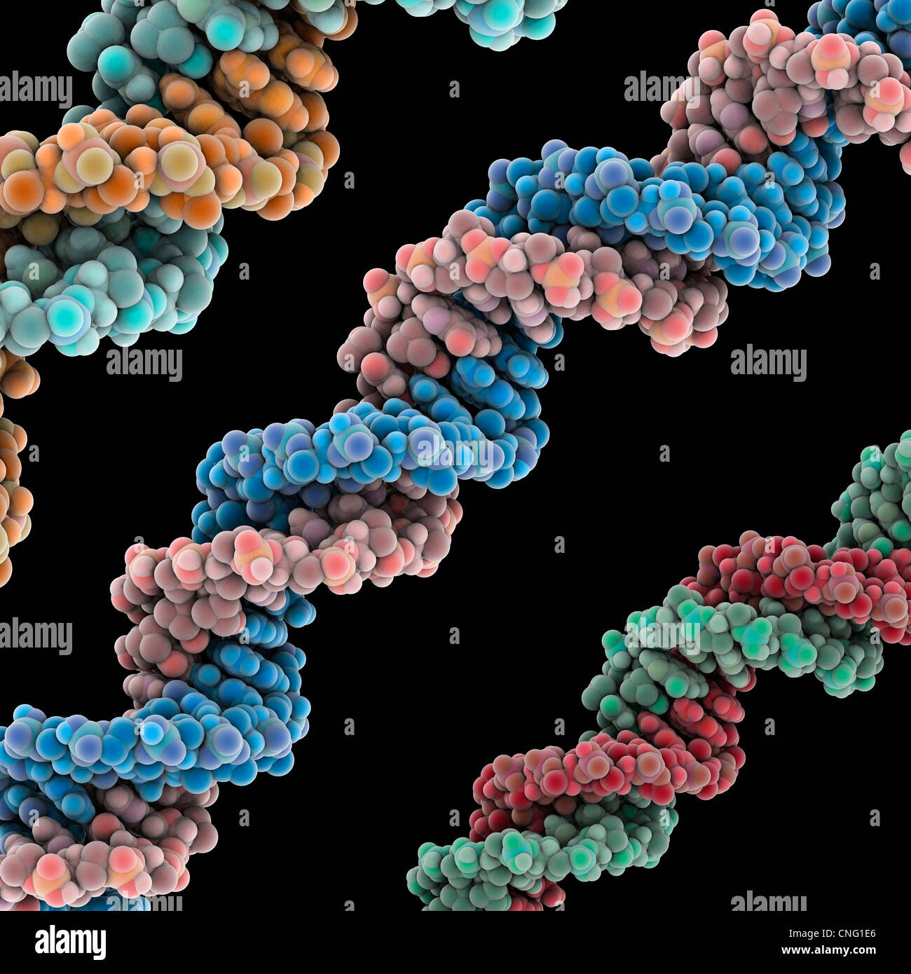 DNA molecules artwork Stock Photo - Alamy