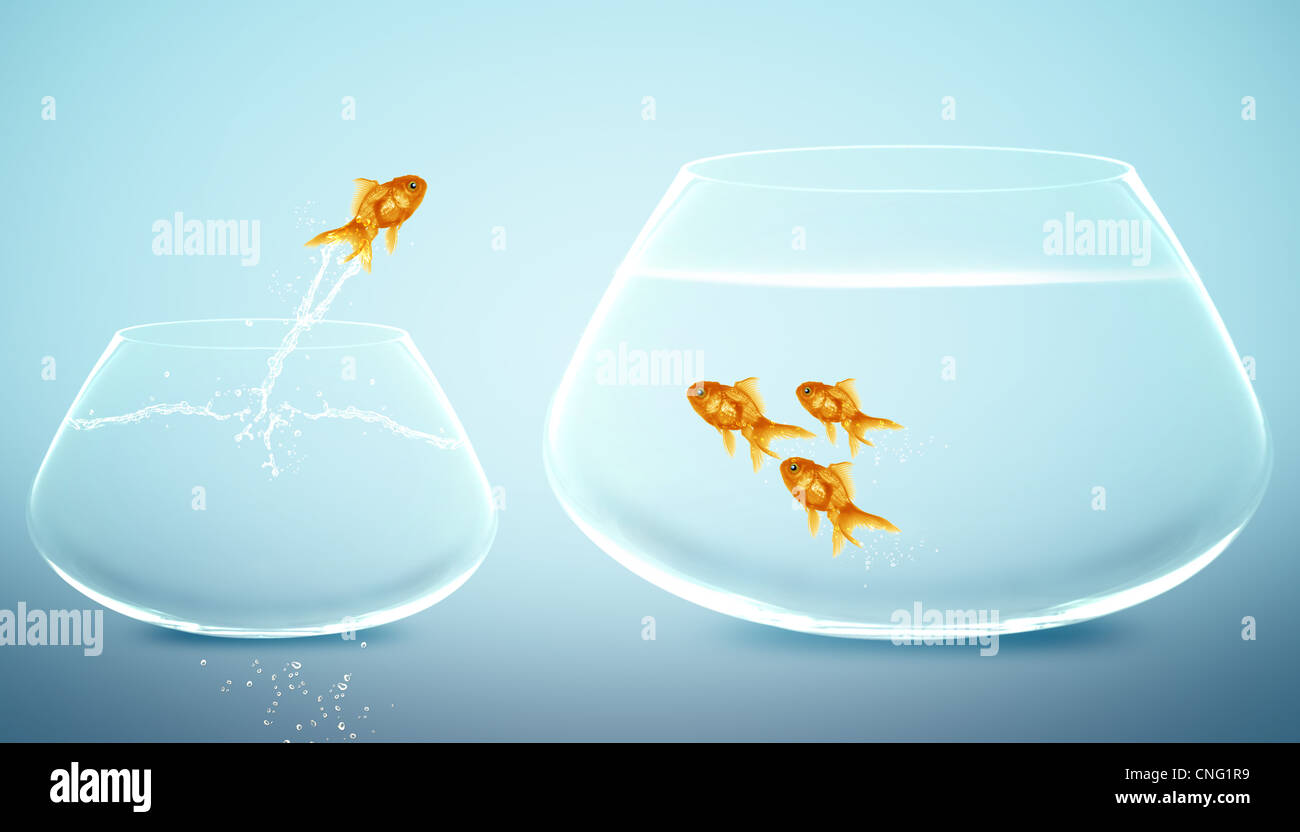 Goldfish jumping hi-res stock photography and images - Alamy
