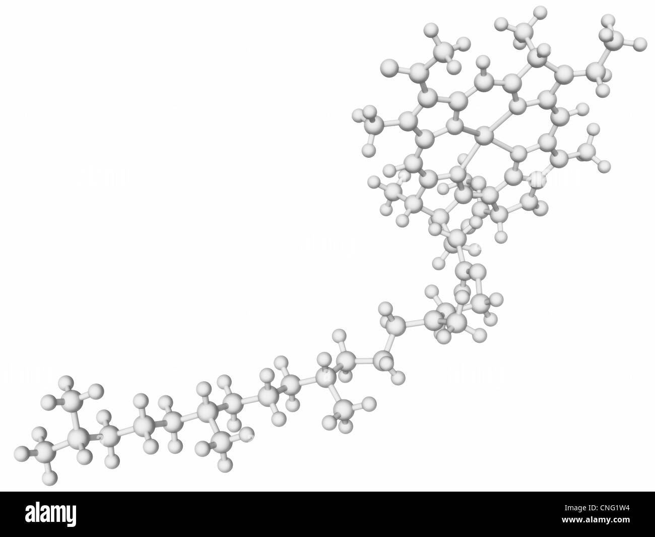 Chlorophyll molecule hi-res stock photography and images - Alamy