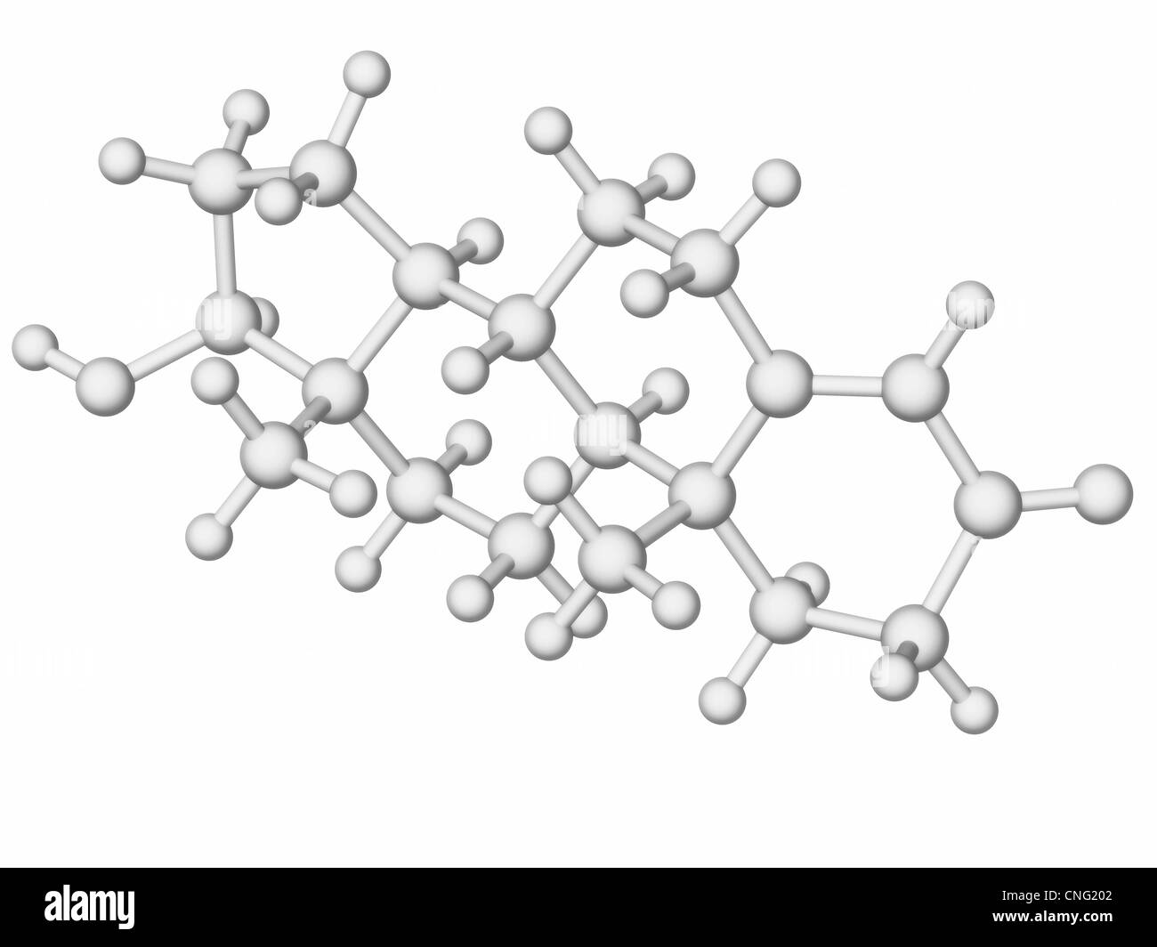 Testosterone molecular model hi-res stock photography and images - Alamy