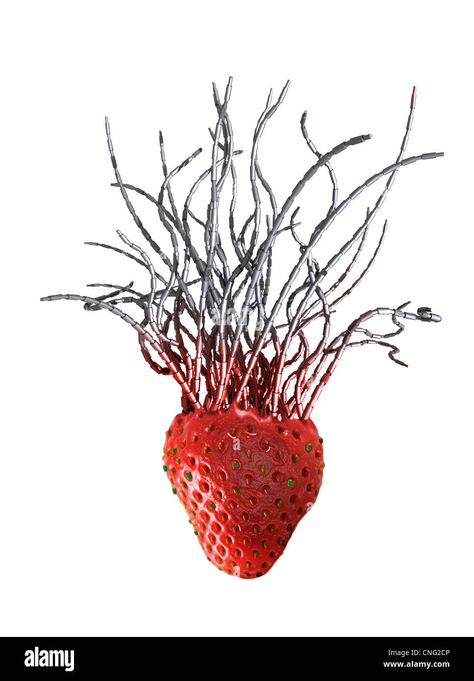 Modified art Cut Out Stock Images & Pictures - Alamy