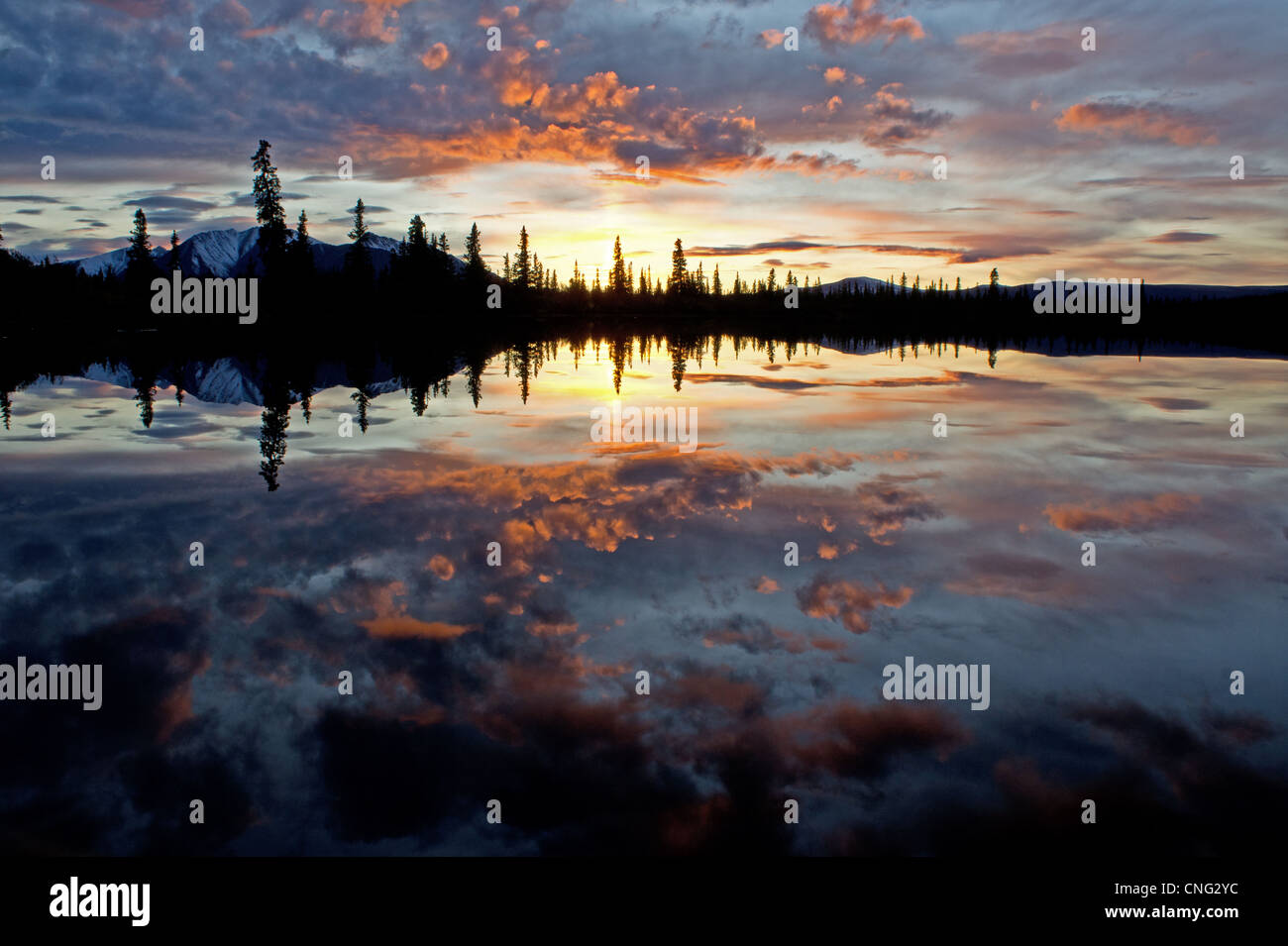 Denali highway hi-res stock photography and images - Alamy