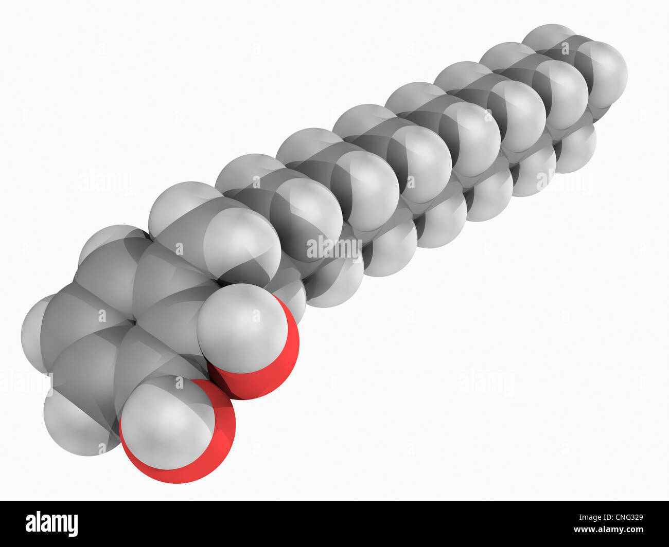 Poison ivy poison molecule Stock Photo - Alamy
