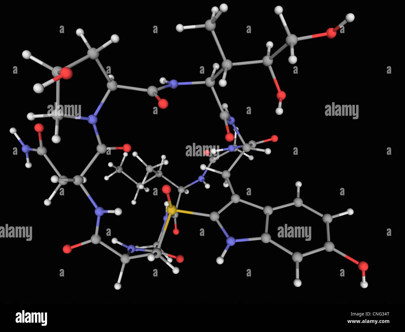Alpha-Amanitin toxin molecule Stock Photo - Alamy