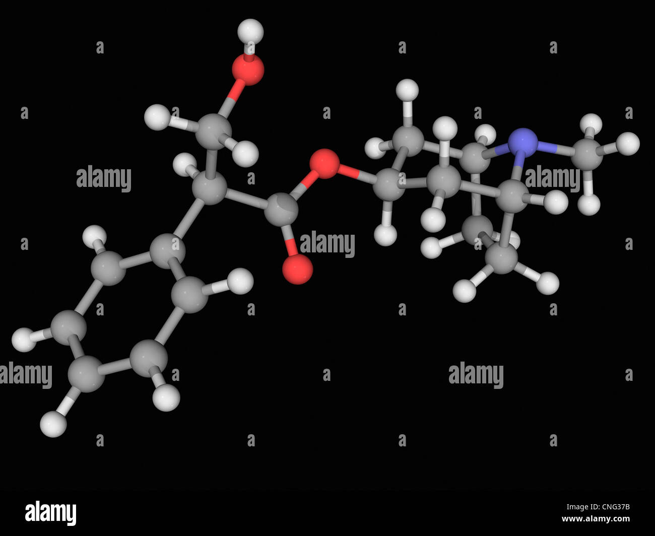 Atropine molecular hi-res stock photography and images - Alamy