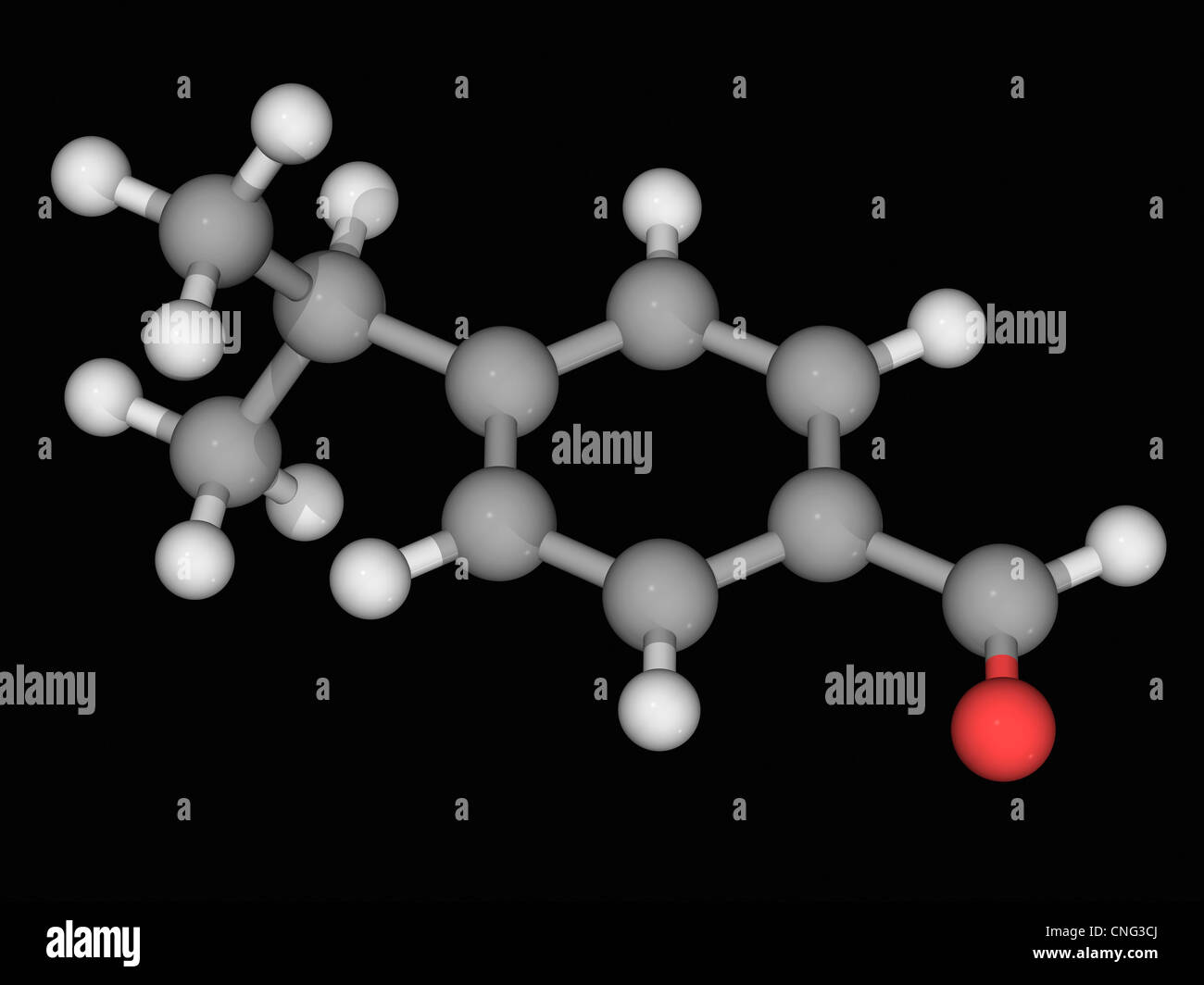 Constituent High Resolution Stock Photography and Images - Alamy