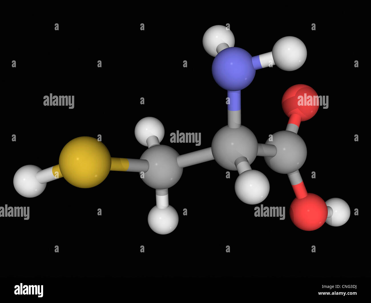 Cysteine amino acid molecule hi-res stock photography and images - Alamy
