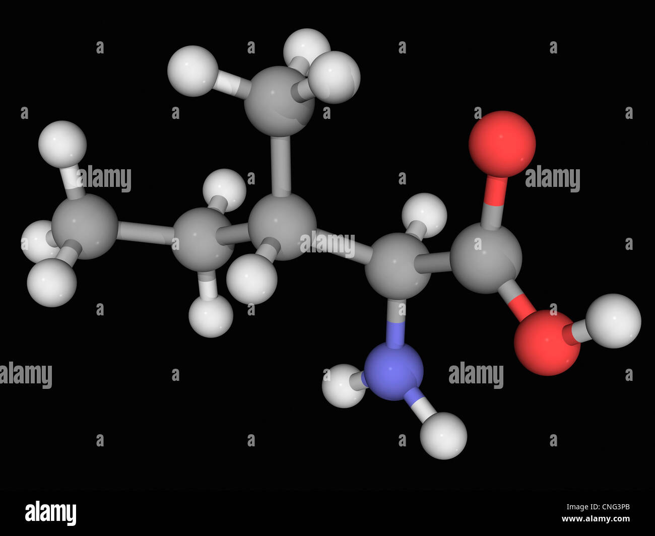 Isoleucine hi-res stock photography and images - Alamy