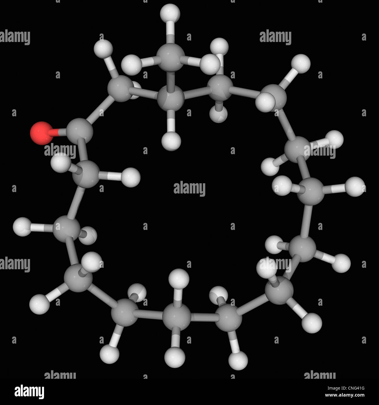 Muscone molecular hi-res stock photography and images - Alamy