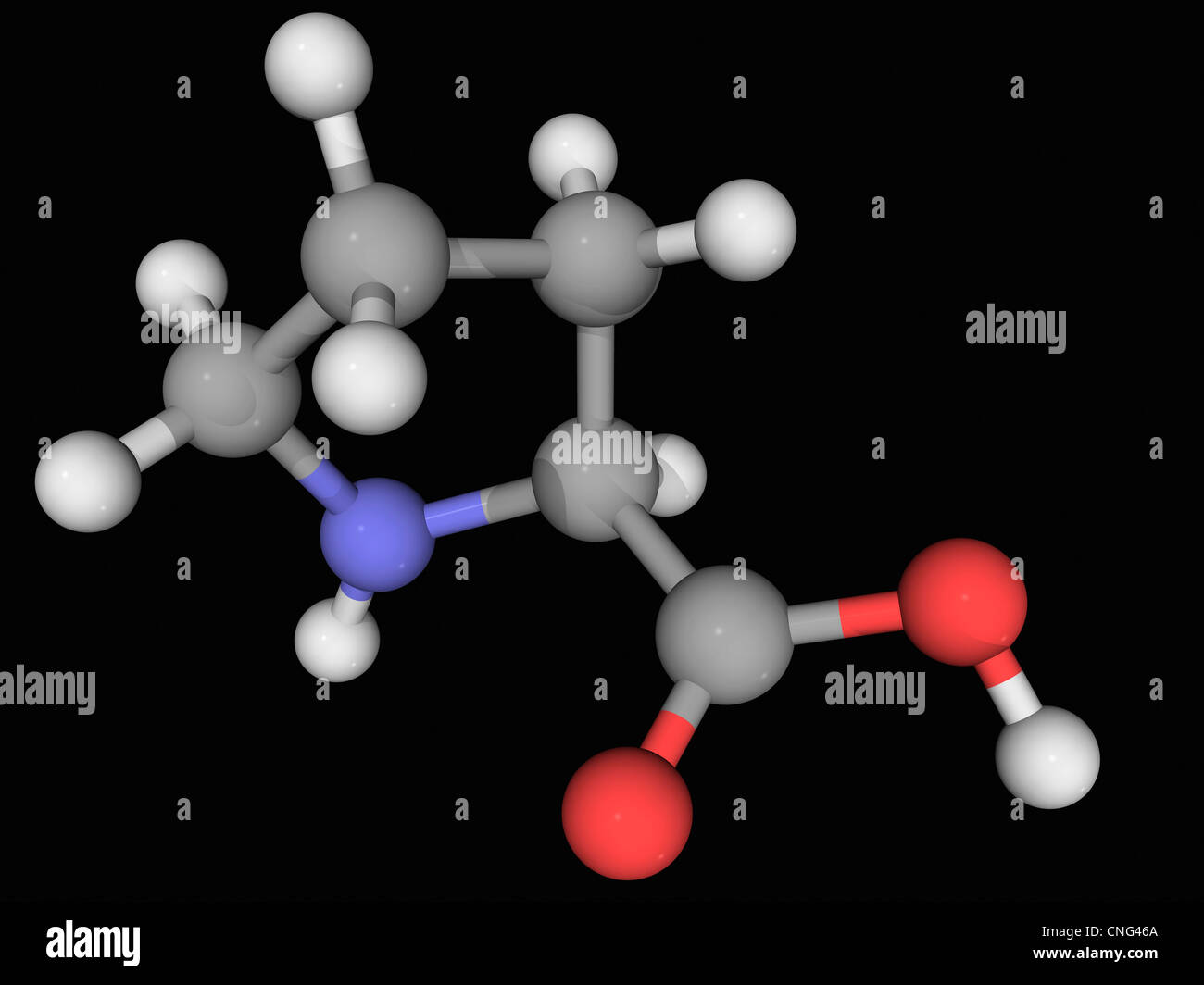 Proline hi-res stock photography and images - Alamy