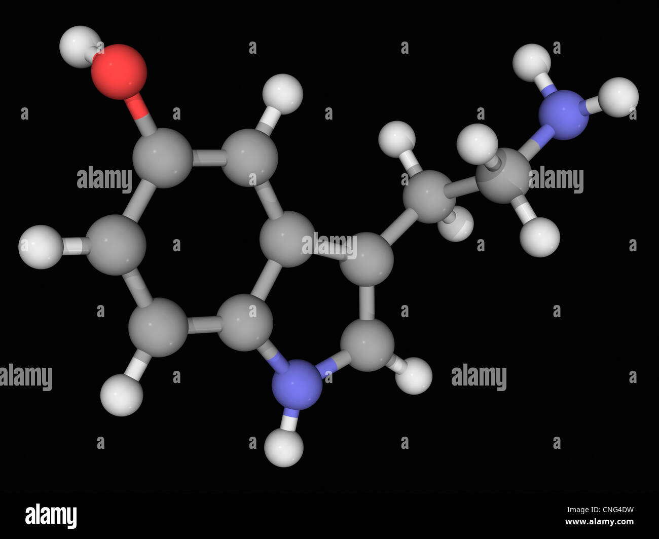 Serotonin Neurotransmitter Molecular Model Serotonin High Resolution ...