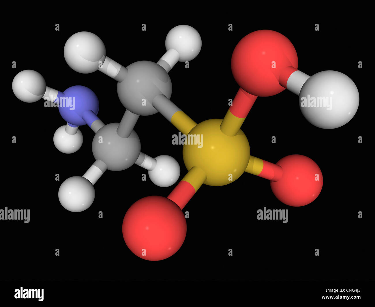 Taurine hi-res stock photography and images - Alamy