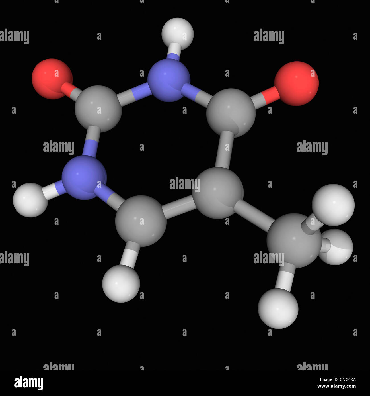 Thymine hi-res stock photography and images - Alamy