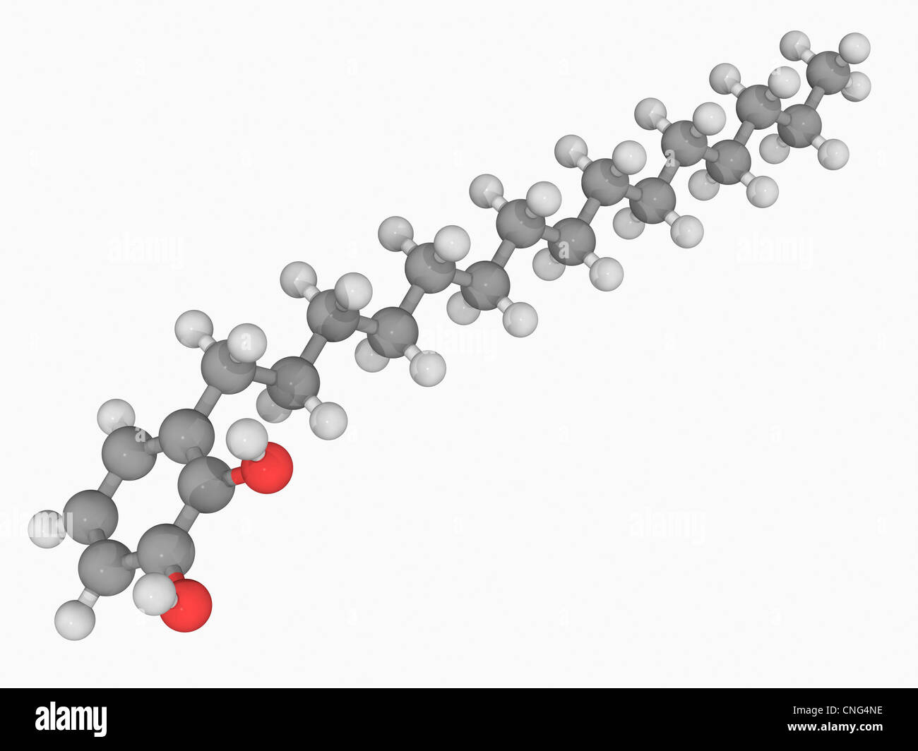 Ivy poison Cut Out Stock Images & Pictures - Alamy