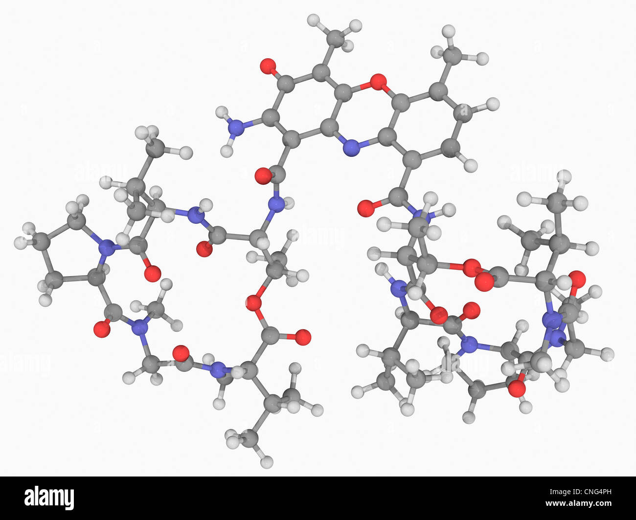 Actinomycin D drug molecule Stock Photo - Alamy