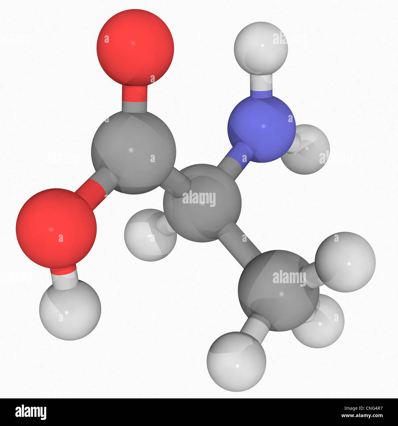 Alanine molecule hi-res stock photography and images - Alamy