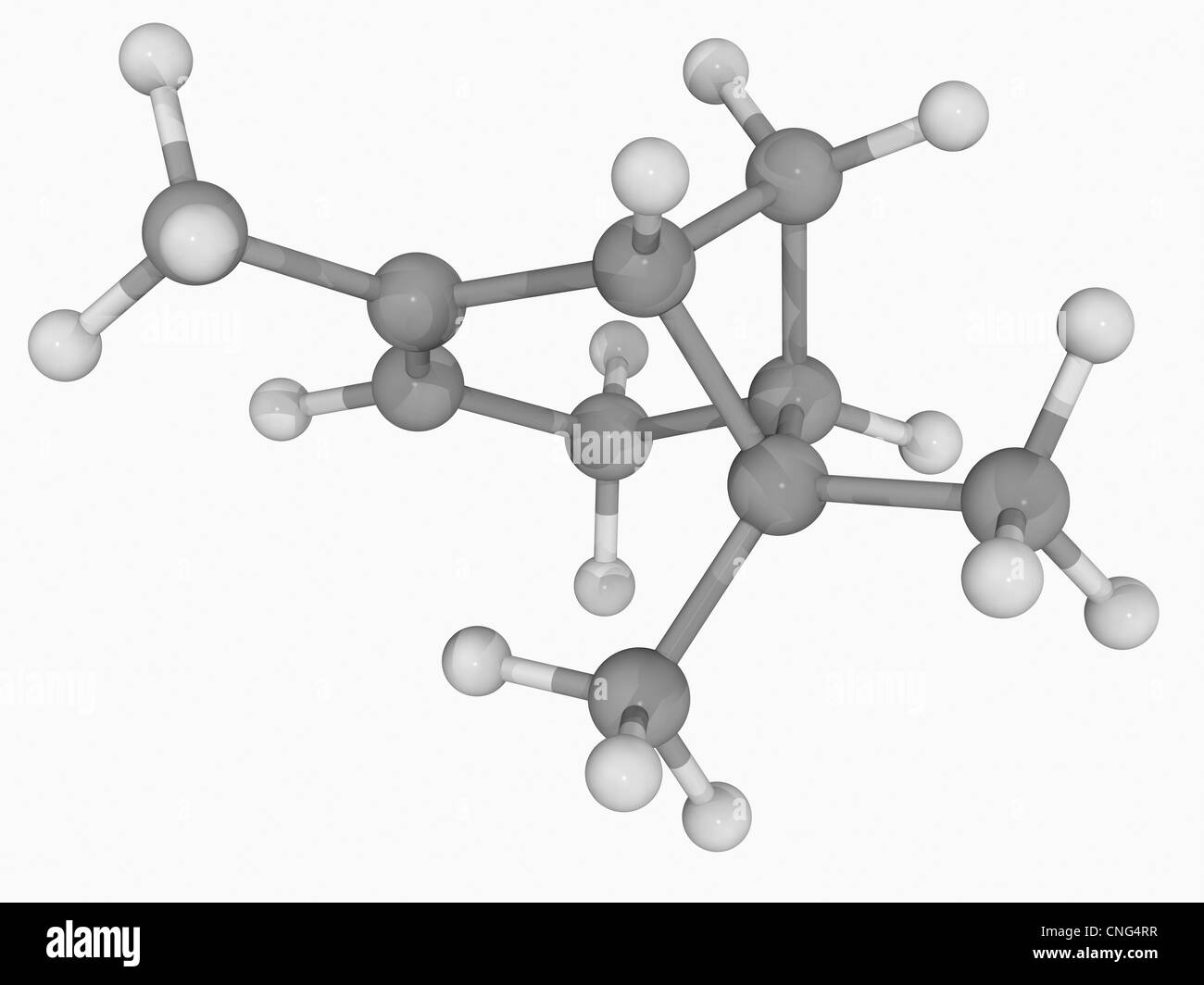 Alpha image Cut Out Stock Images & Pictures - Alamy