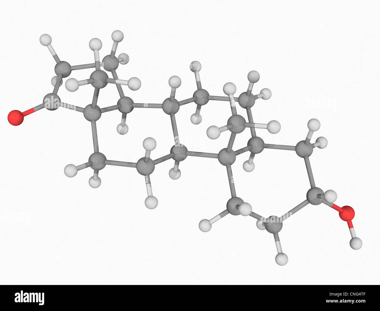 Androsterone hormone molecule Stock Photo - Alamy