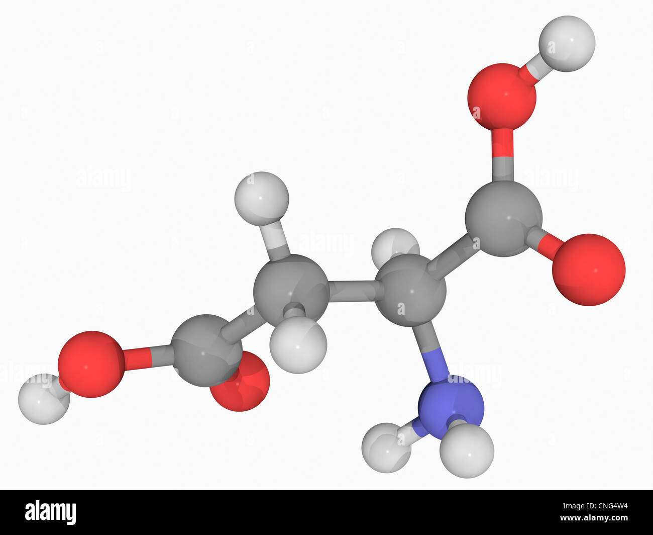 Aspartic acid hi-res stock photography and images - Alamy