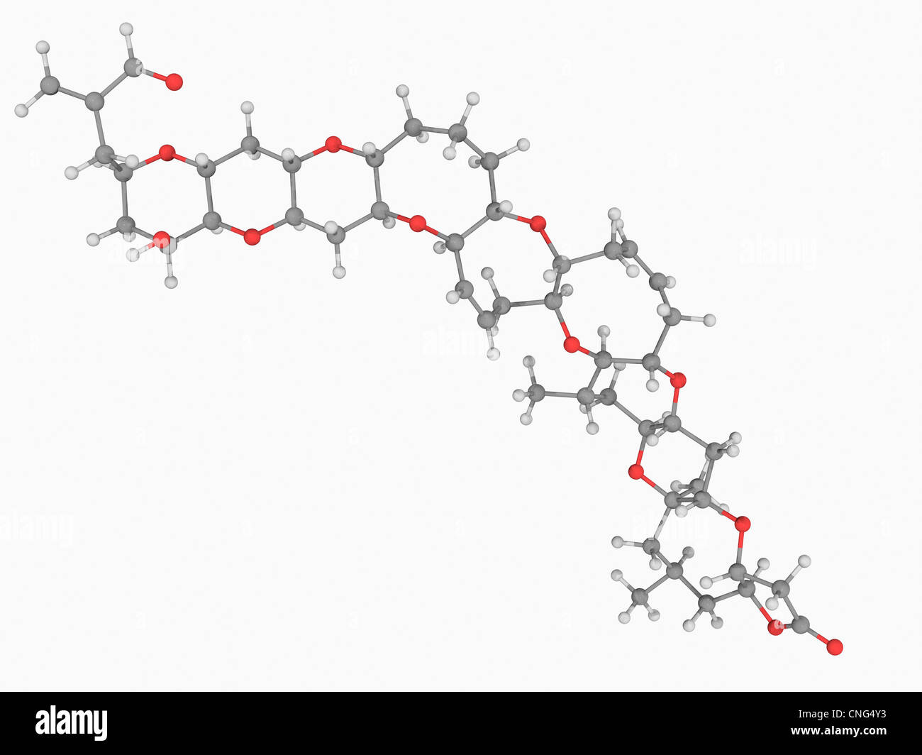 Brevetoxin neurotoxin molecule Stock Photo - Alamy