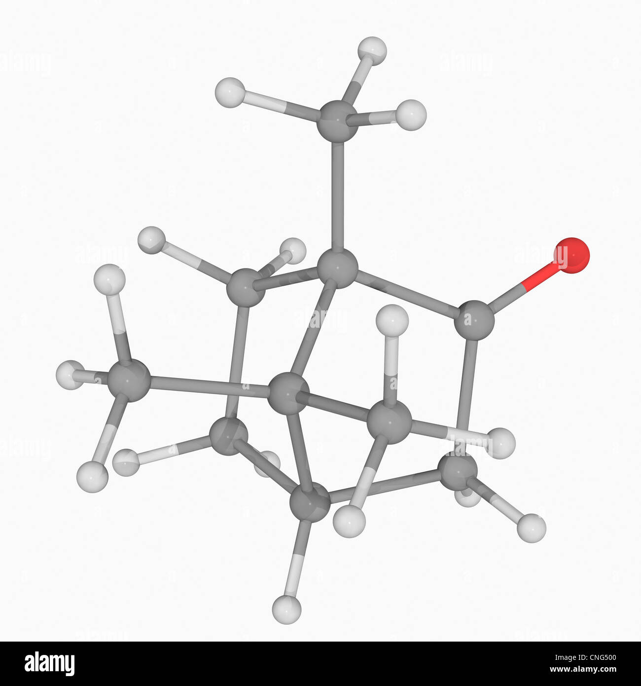 Camphor molecule Cut Out Stock Images & Pictures - Alamy