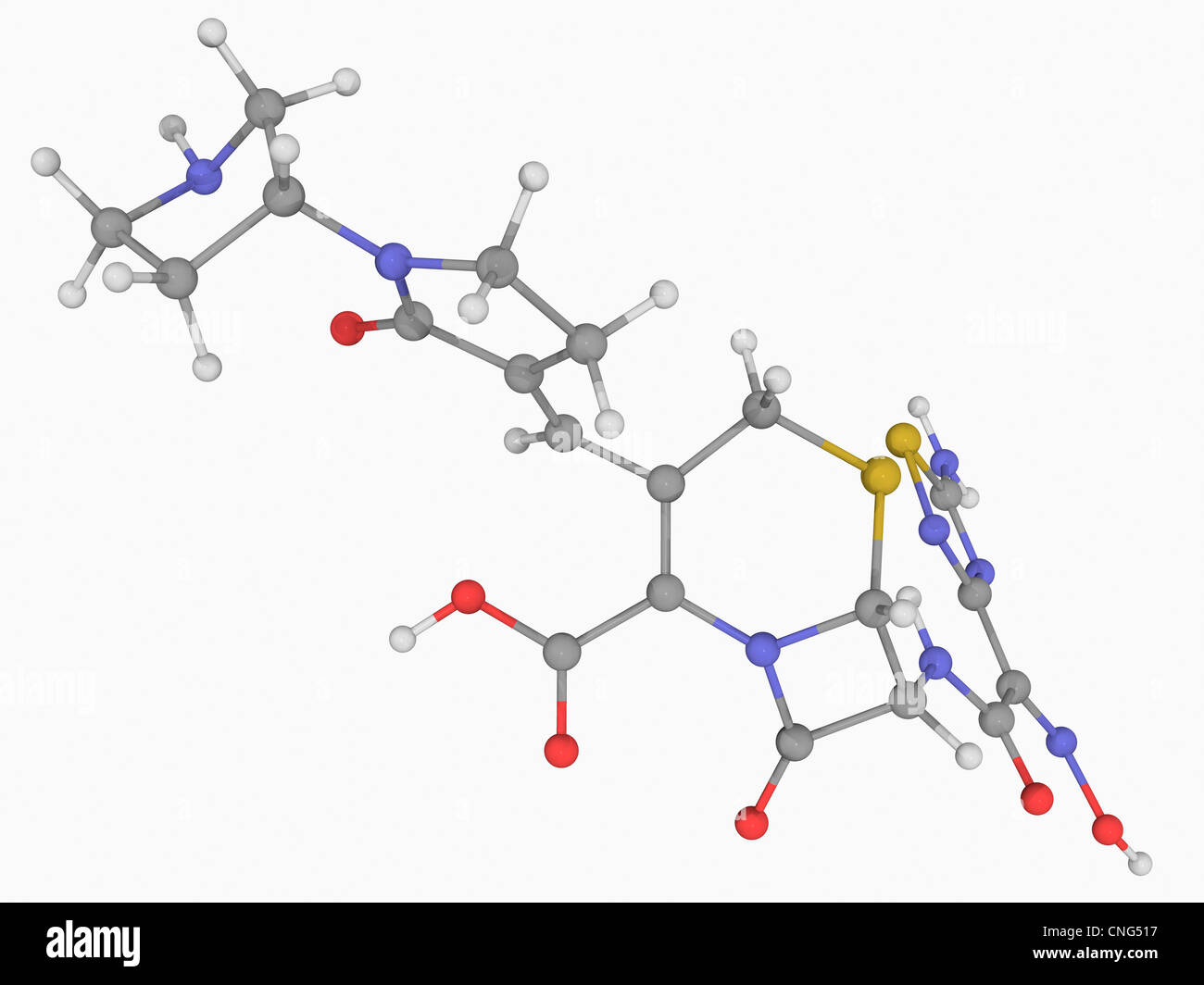 Cephalosporin High Resolution Stock Photography and Images - Alamy