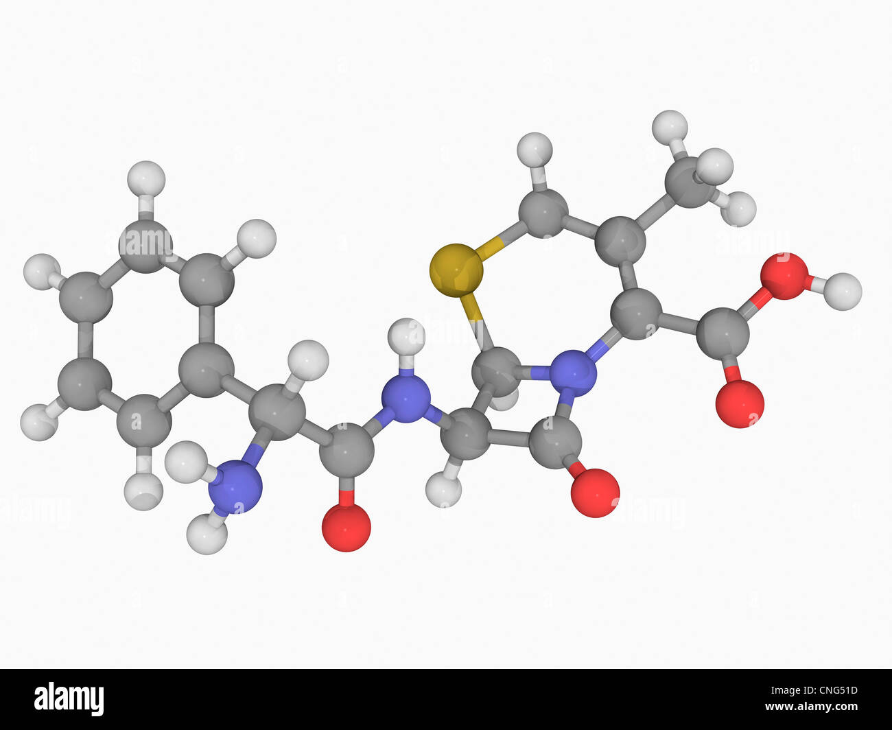 Cephalexin drug molecule Stock Photo - Alamy