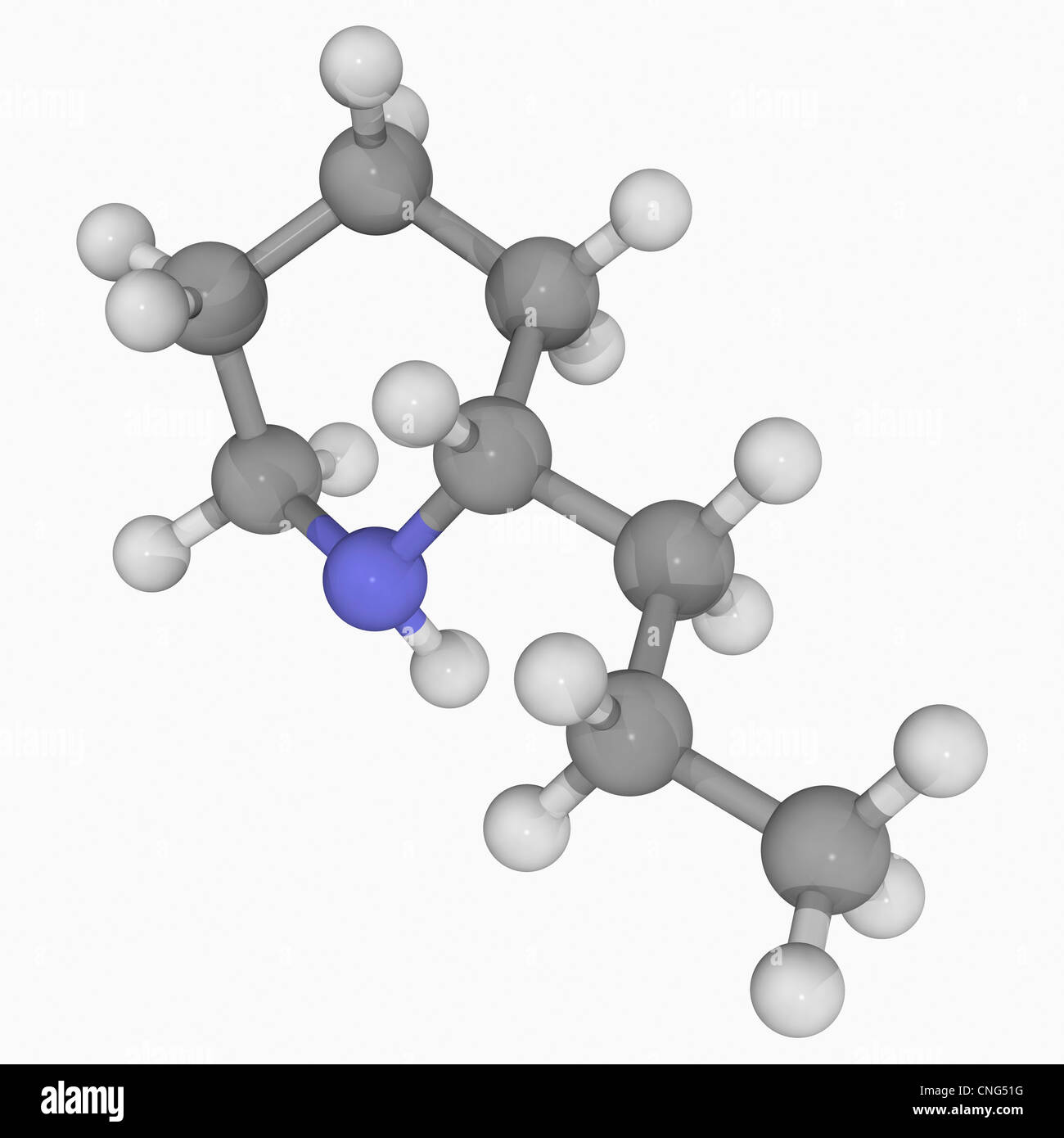 Coniine molecular hi-res stock photography and images - Alamy