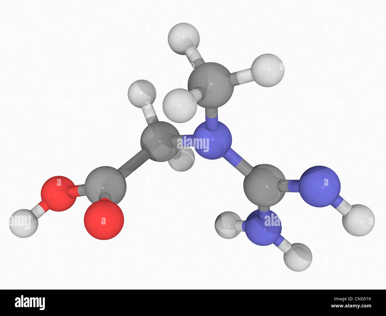 Creatine molecule Cut Out Stock Images & Pictures - Alamy